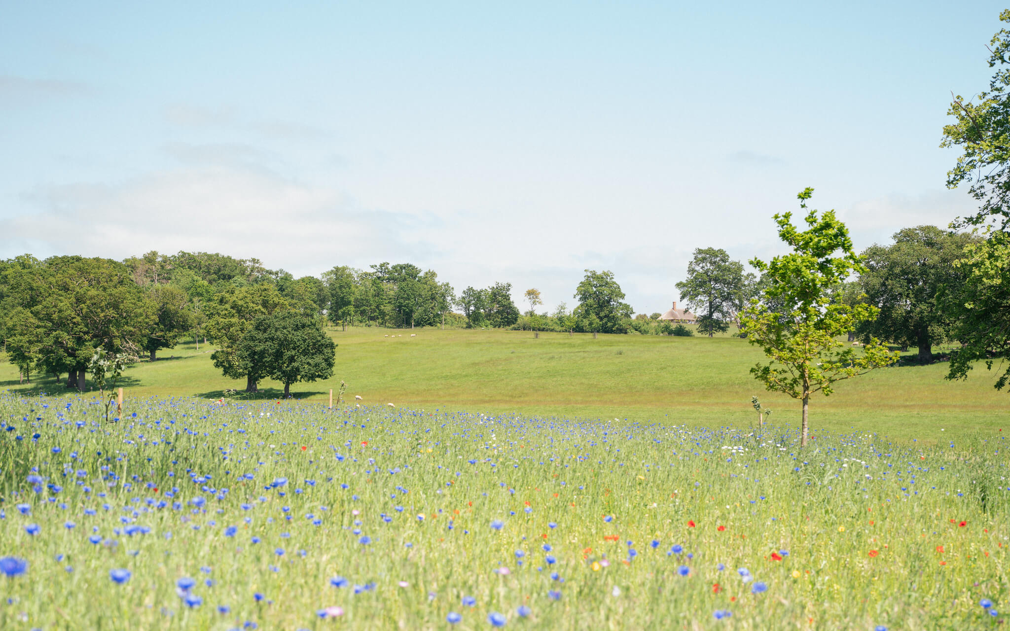 Wilderness Reserve : Luxury Holiday Cottages to Rent in Suffolk