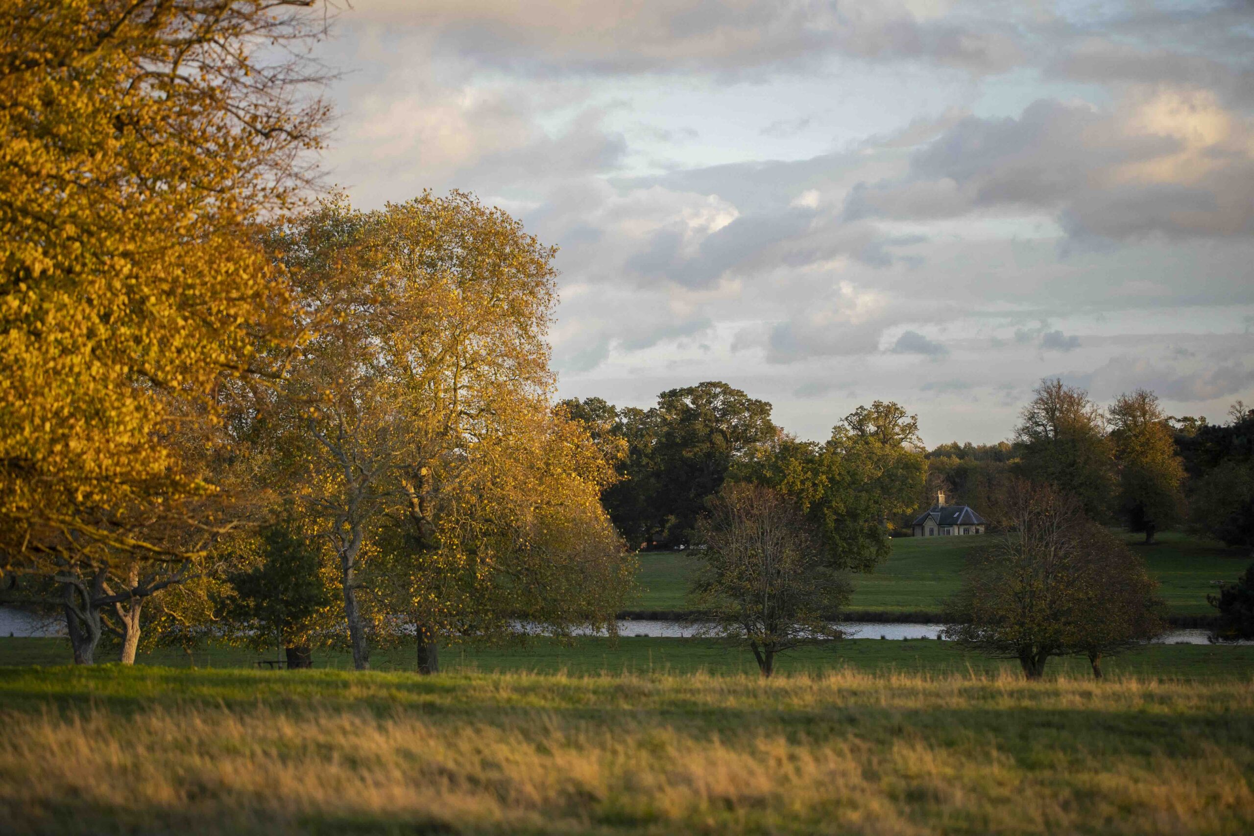 Wilderness Reserve : Luxury Holiday Cottages to Rent in Suffolk